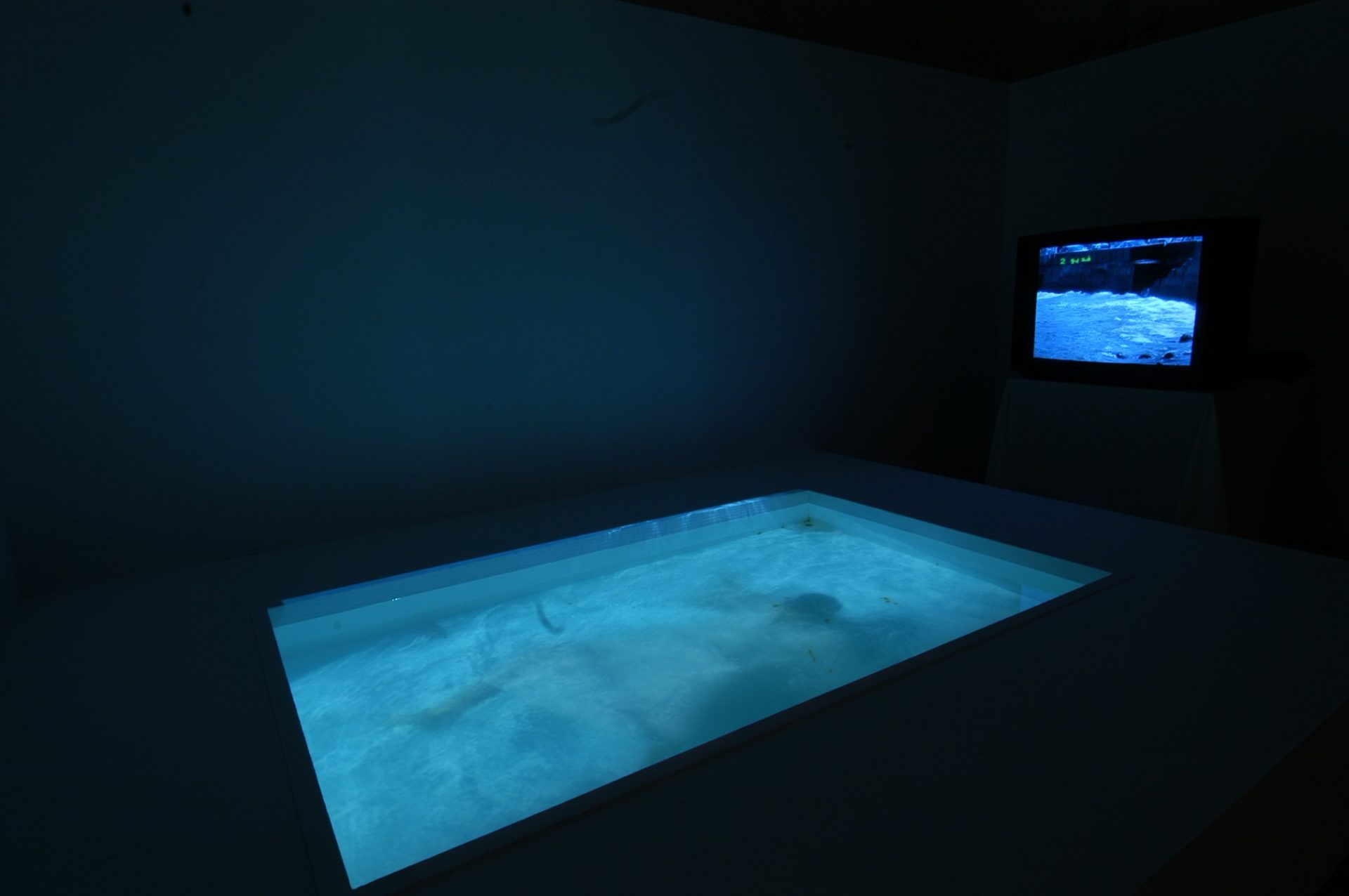 NYU Abu Dhabi Art Gallery free new exhibition upcoming 2022 NYU Abu Dhabi Art Gallery free new exhibition upcoming 2022
